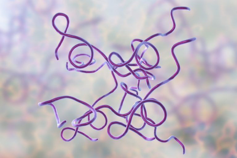 Wścieklizna - objawy u człowieka - HelloZdrowie