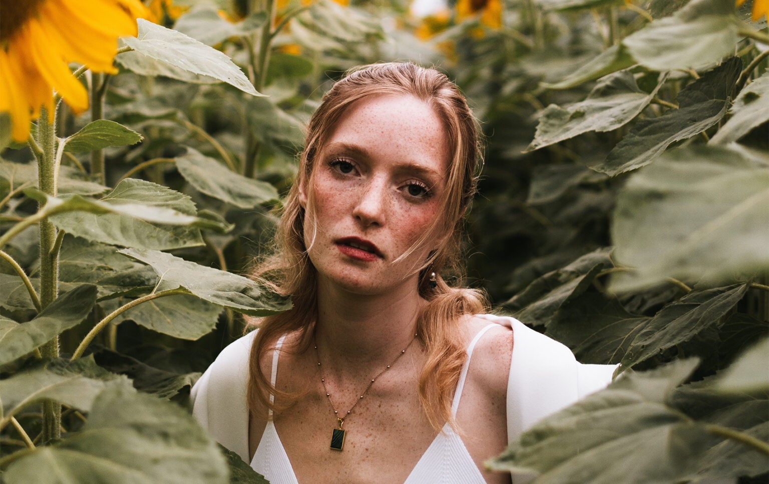 Androstendion – normy i interpretacja. Kiedy badać poziom hormonu ...