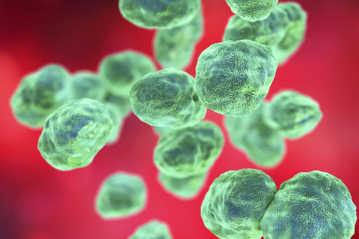 Czym jest tularemia? Objawy, diagnostyka, leczenie | HelloZdrowie