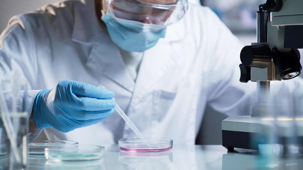 Czym zajmuje się toksykologia? Jakie ma zastosowanie? | HelloZdrowie