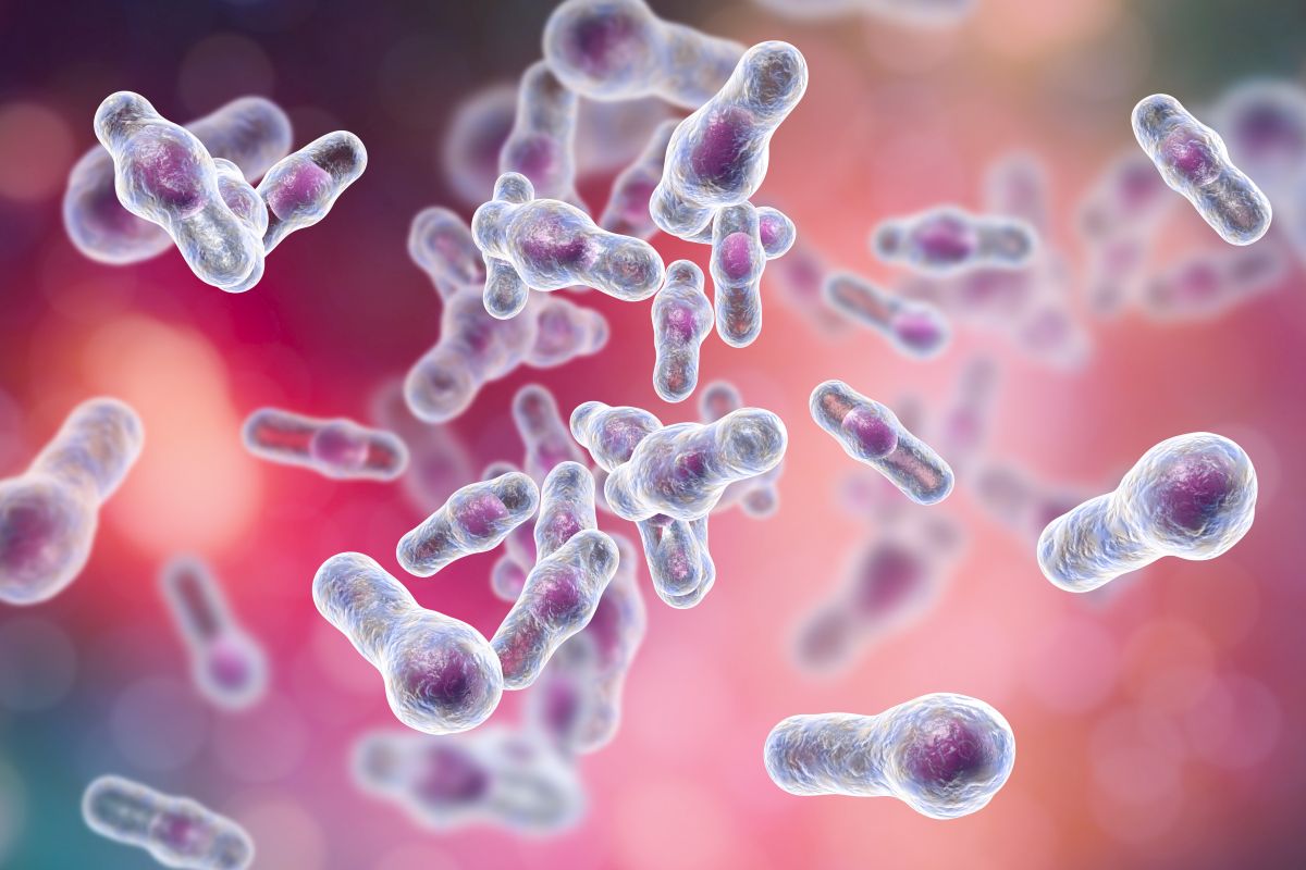 Czym jest immunologia? Jakie są rodzaje? | HelloZdrowie