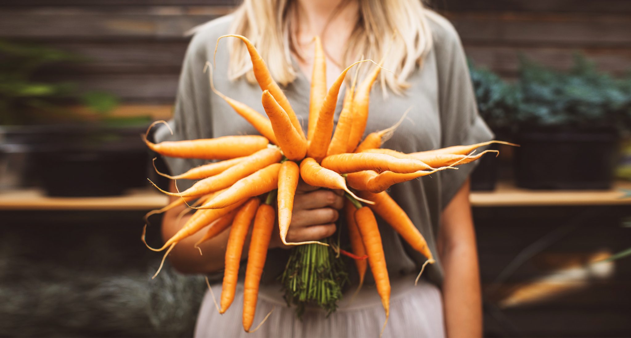 Marchewka - jakie ma witaminy? Jak przyrządzić marchew? | HelloZdrowie