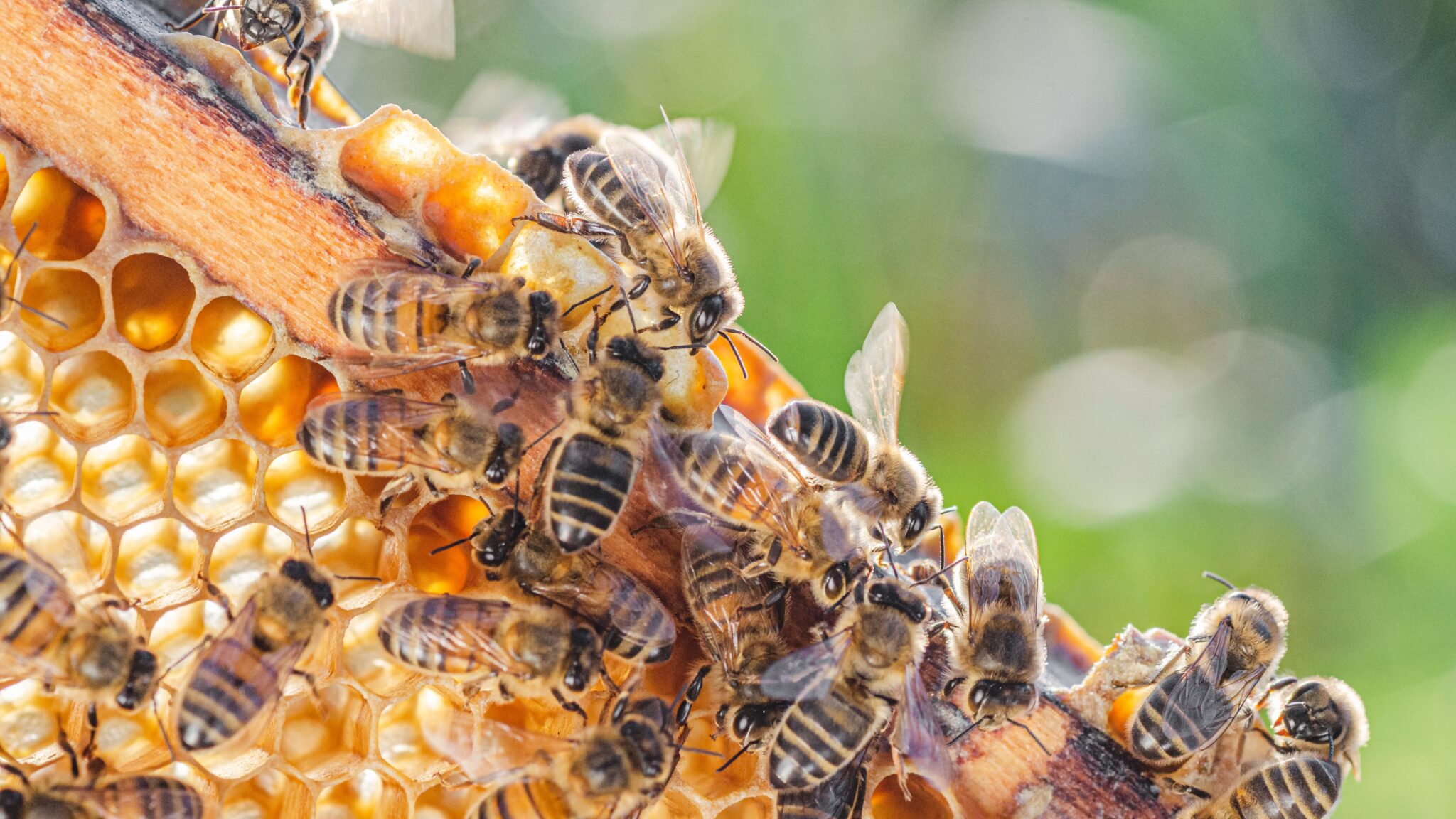 Trypofobia, lęk przed dziurami. Jak rozpoznać i leczyć trypofobię ...