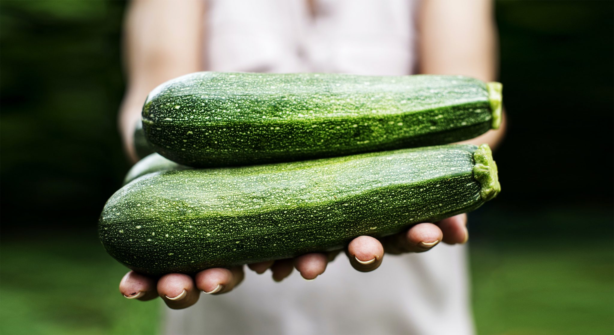 Melon - odmiany i właściwości zdrowotne. Jak jeść melona?
