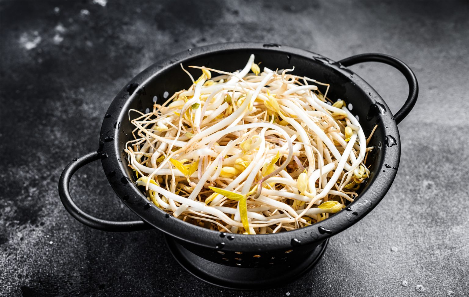 Kiełki fasoli mung – wartości odżywcze, właściwości i hodowla ...