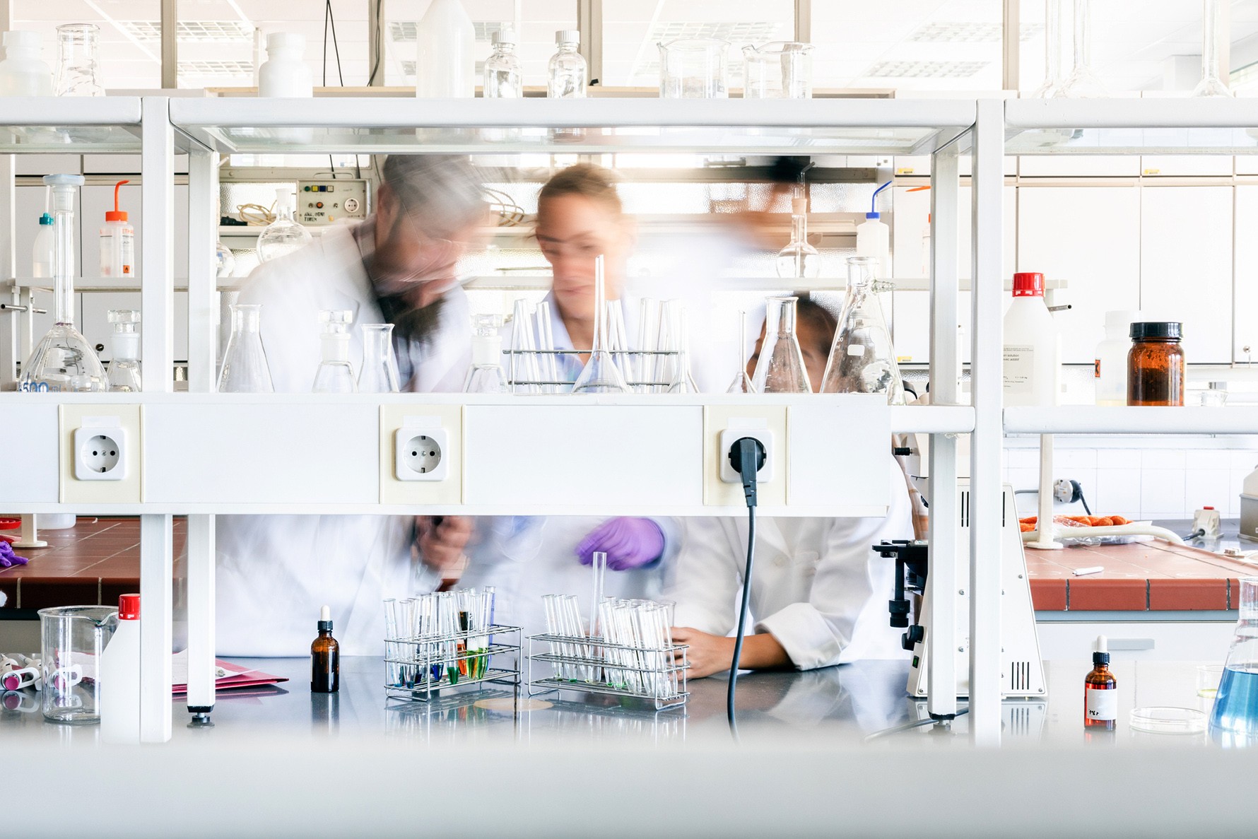 Makrofagi - co to, funkcje w organizmie, aktywacja makrofagów ...