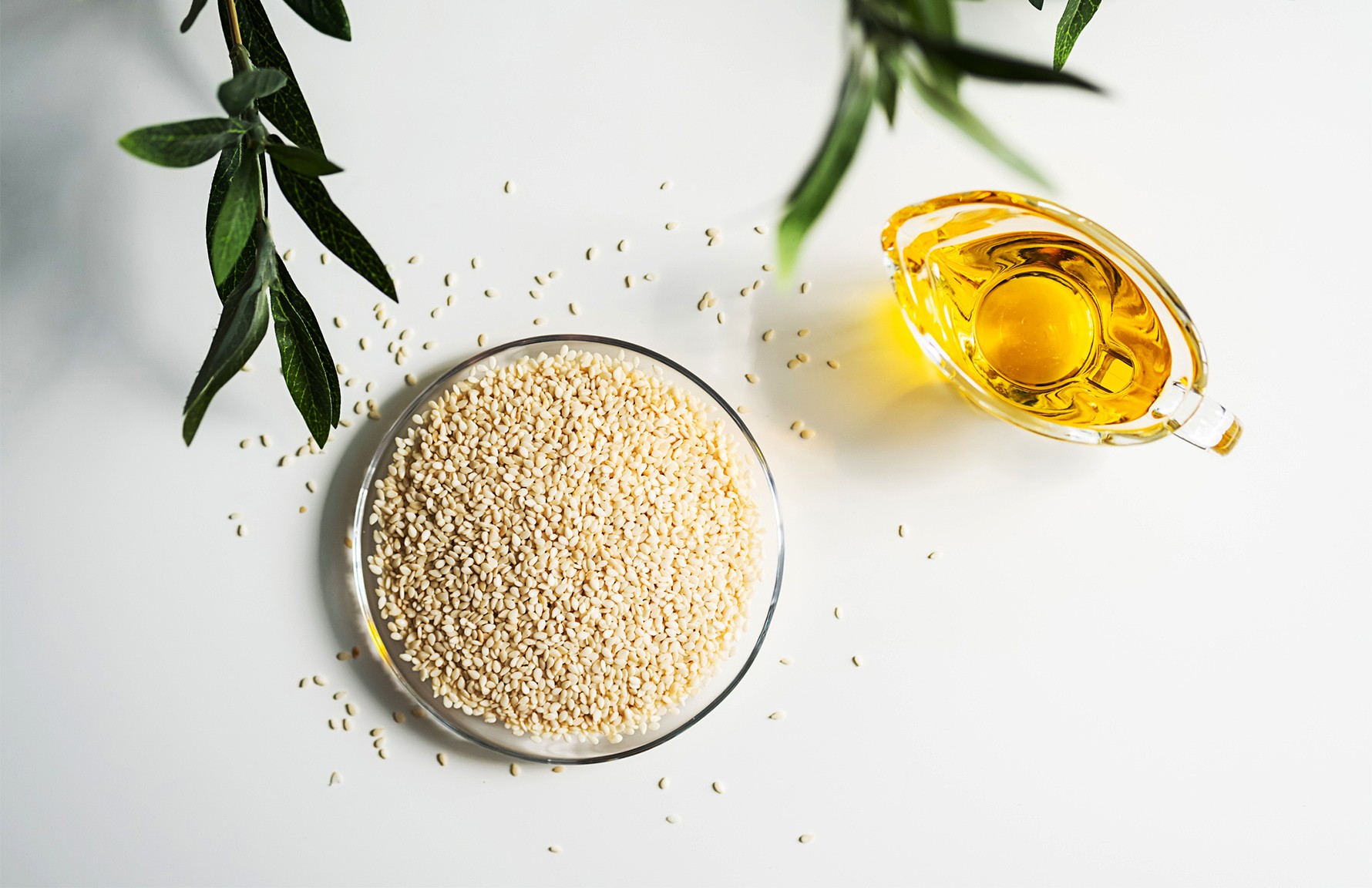 Sezam – jak rośnie, właściwości zdrowotne, produkty, przepisy ...
