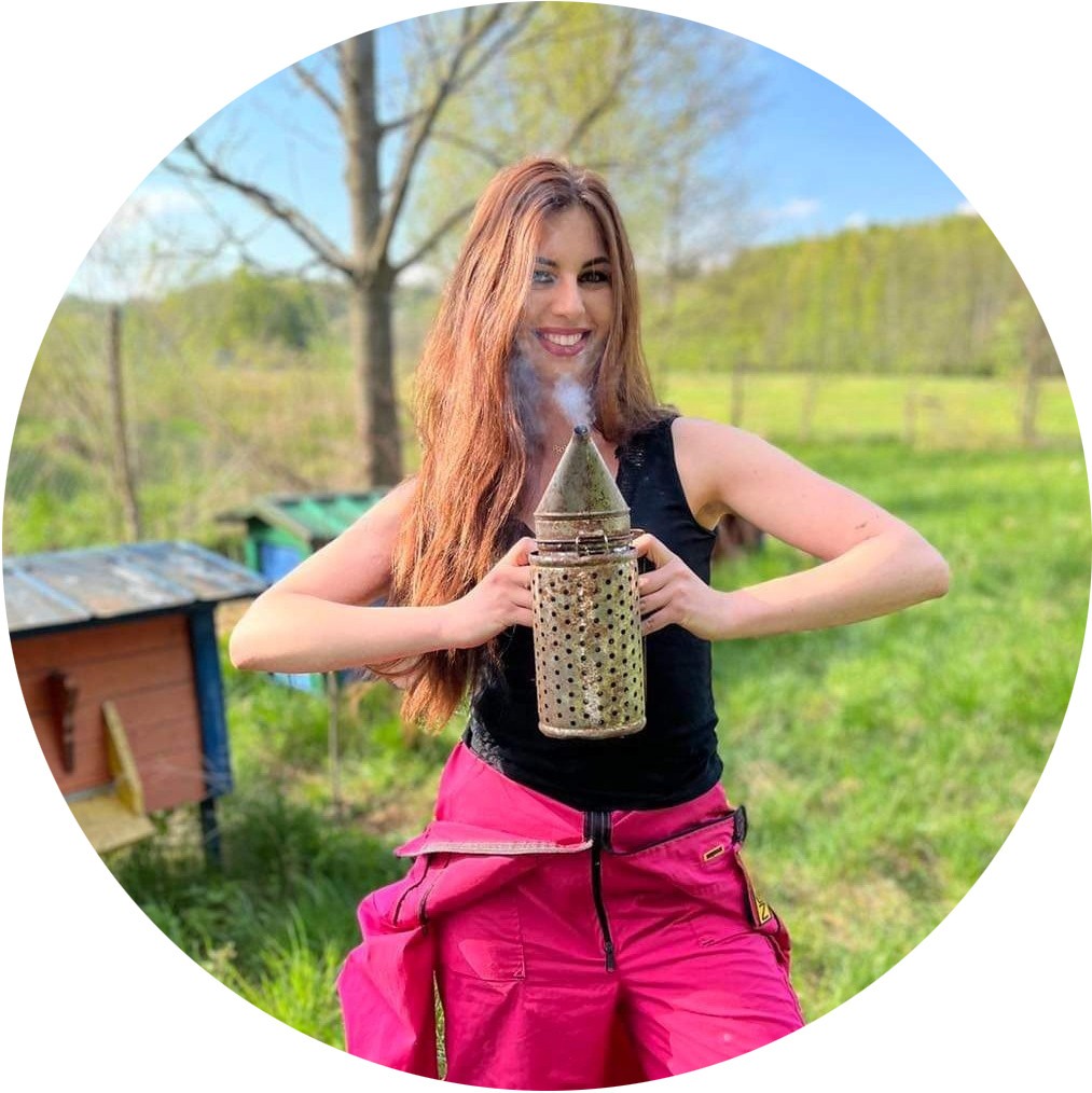 Rok okiem pszczoły. "Rój pszczeli to jeden wielki superorganizm, w ...