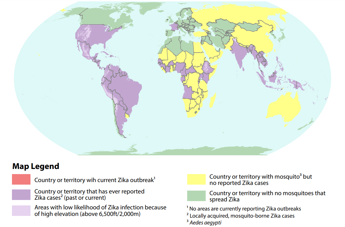 Gdzie występuje wirus ZIKA? Objawy, leczenie | HelloZdrowie