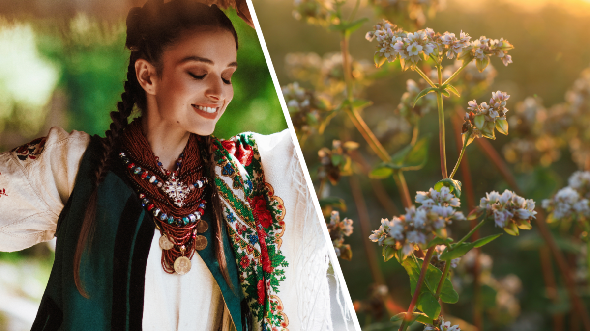 Macierzanka – właściwości, zastosowanie, przeciwwskazania - HelloZdrowie