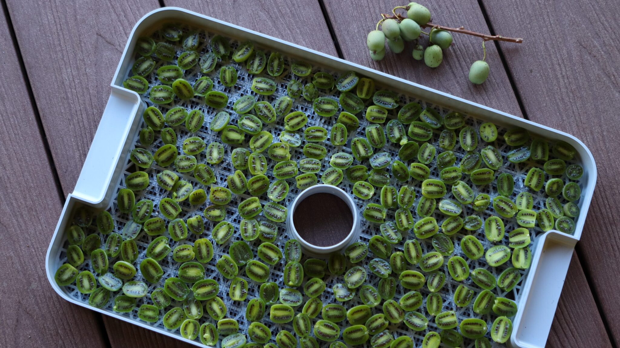 Sezam – jak rośnie, właściwości zdrowotne, produkty, przepisy ...