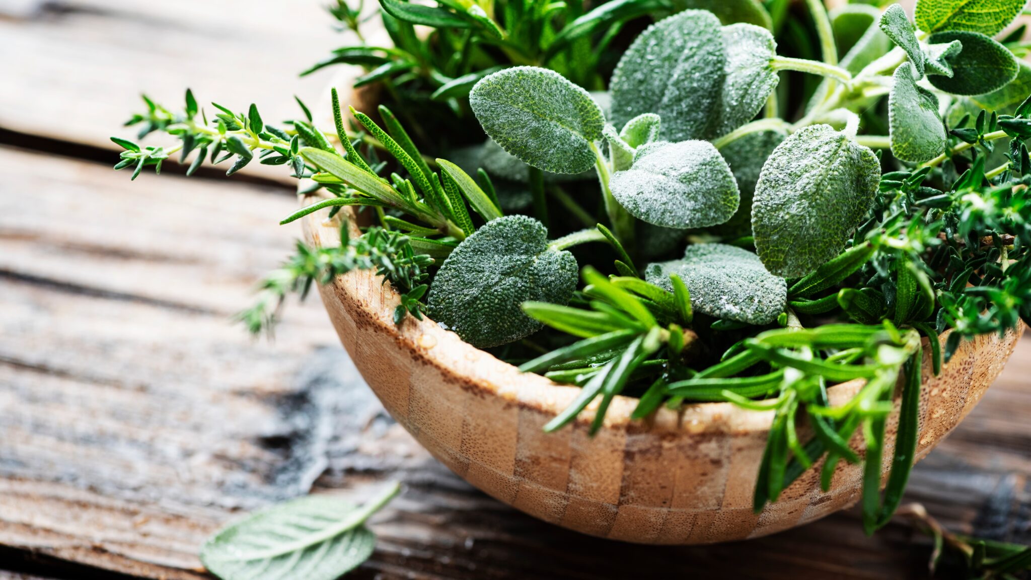 Limfa (chłonka) - funkcje i choroby układu limfatycznego - HelloZdrowie