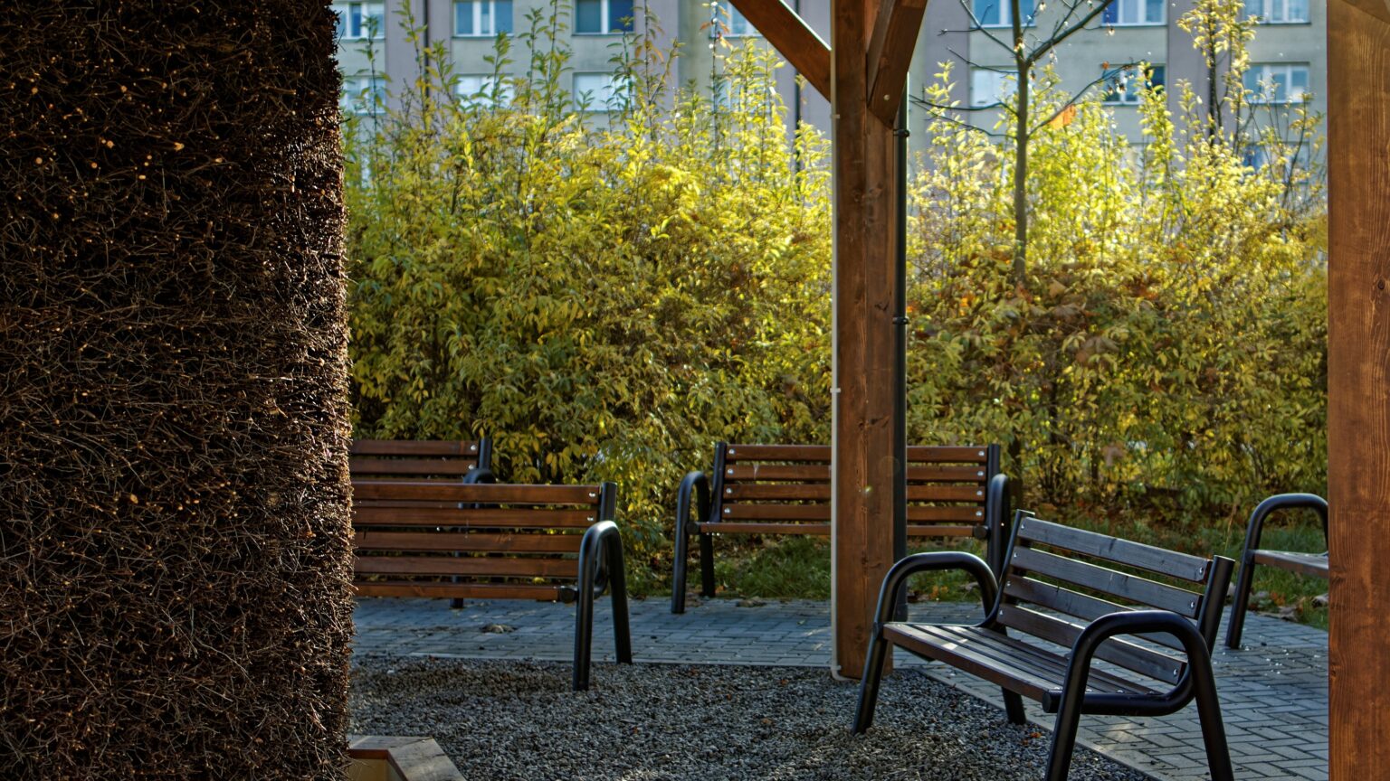 Kalcytriol i jego znaczenie. Co ma wspólnego z witaminą D? - HelloZdrowie